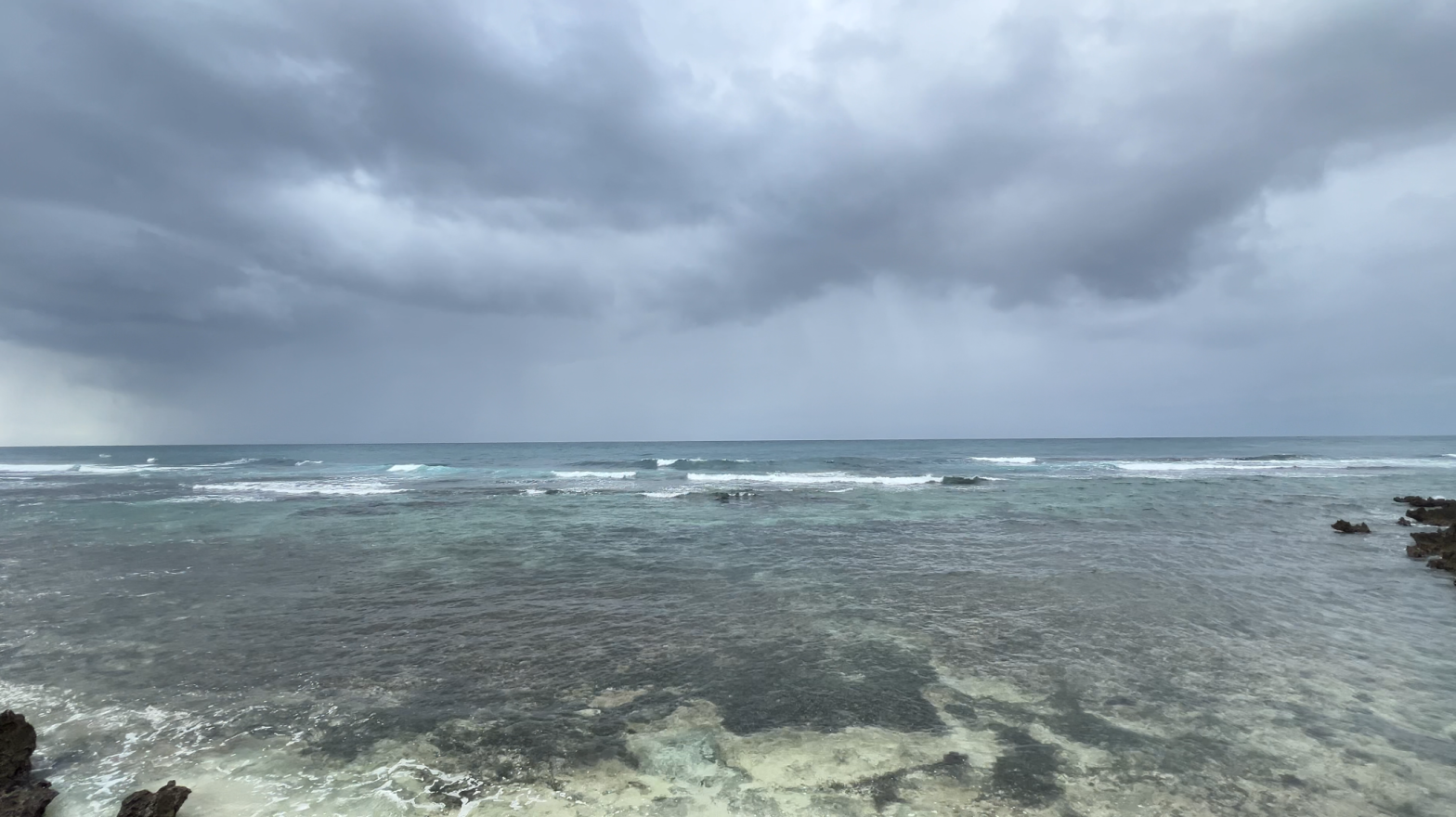 1 Jan 26 – Happy New Year’s Day!! – Dolphin Communication Project