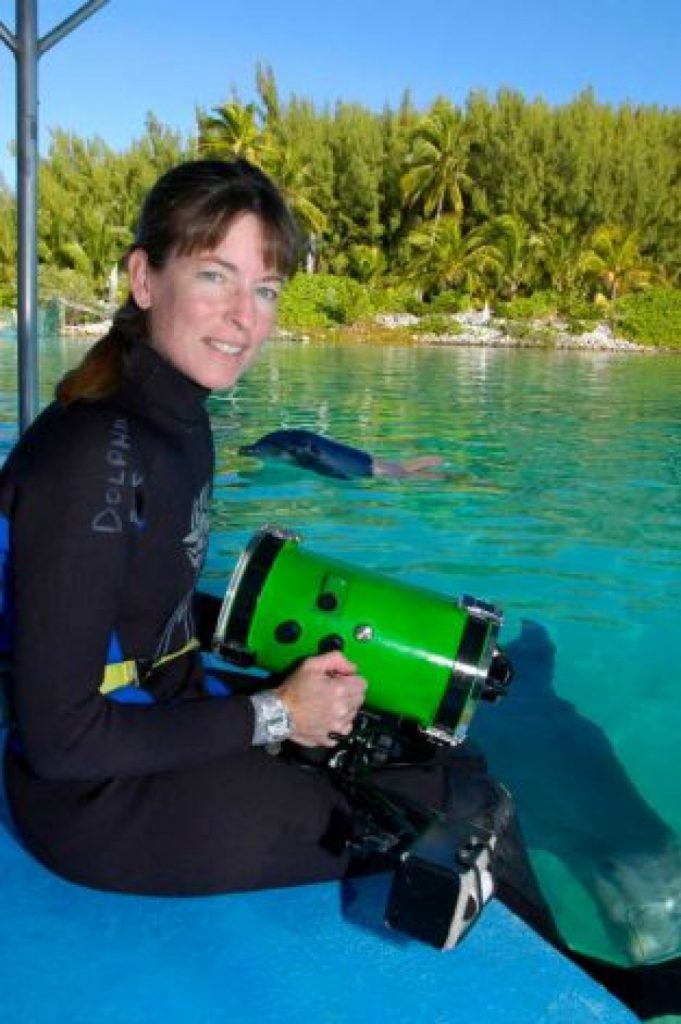 Dolphin Researcher Spotlight: Kathleen Dudzinski – Dolphin ... Dolphin Researcher Spotlight: Kathleen Dudzinski – Dolphin ...