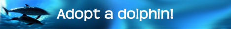 adopt – Dolphin Communication Project