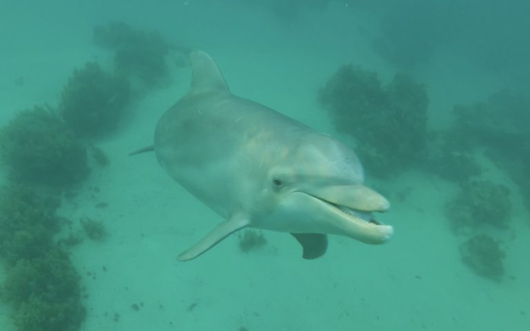 Sun, Rain, Clear and silty visibility – the day ran the gamut ...