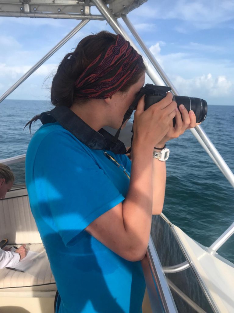 The Daily Dolphin: Rain Delay! – Dolphin Communication Project