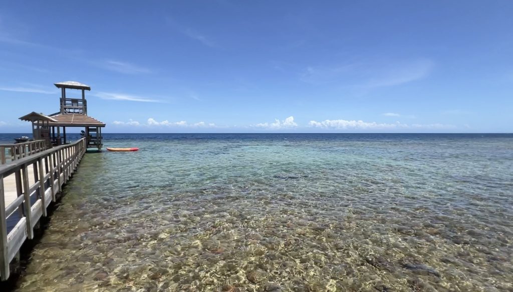 Maya Key Visit!😃 – Dolphin Communication Project