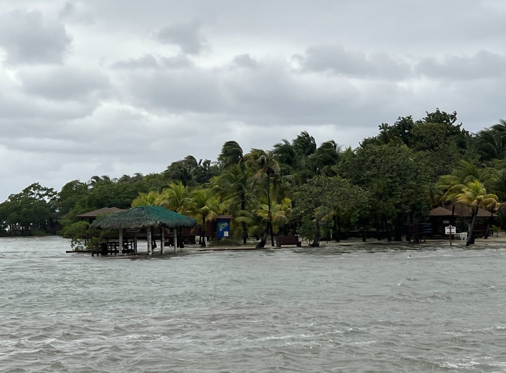 The Rest of Our Group Arrived! – Dolphin Communication Project