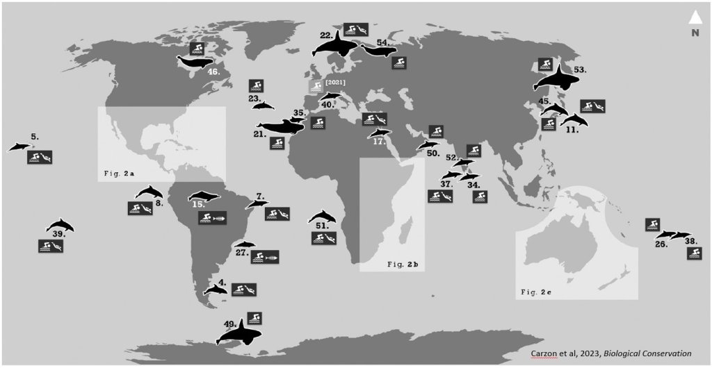 New Publication! – Dolphin Communication Project New Publication! – Dolphin Communication Project