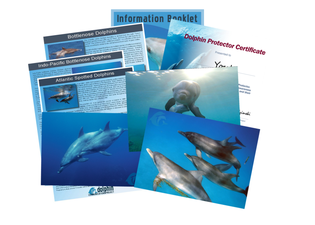 Become a “Dolphin Protector!” – Dolphin Communication Project