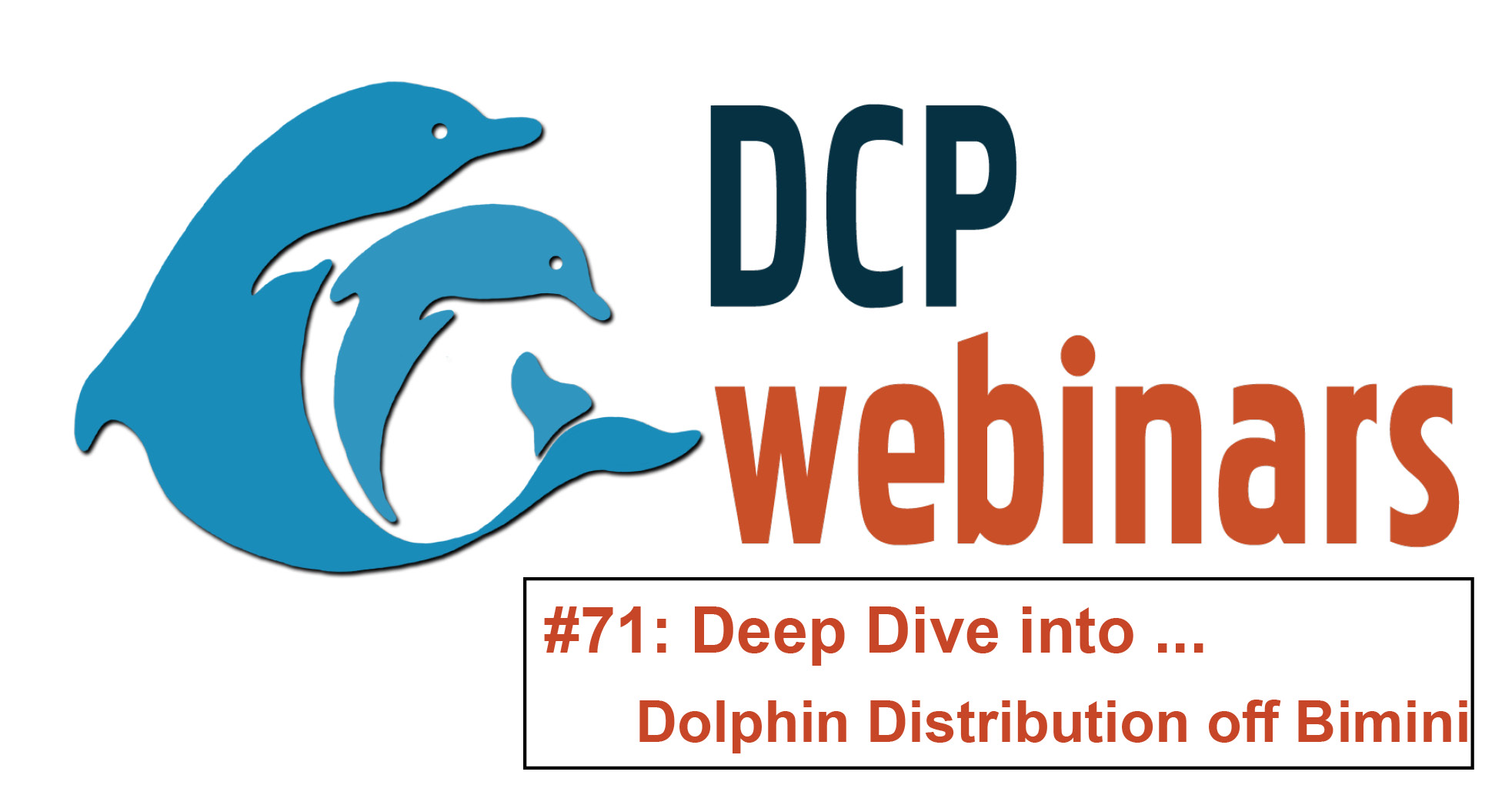 DCP Deep Dive: Distribution of dolphins in nearshore Bimini waters ...