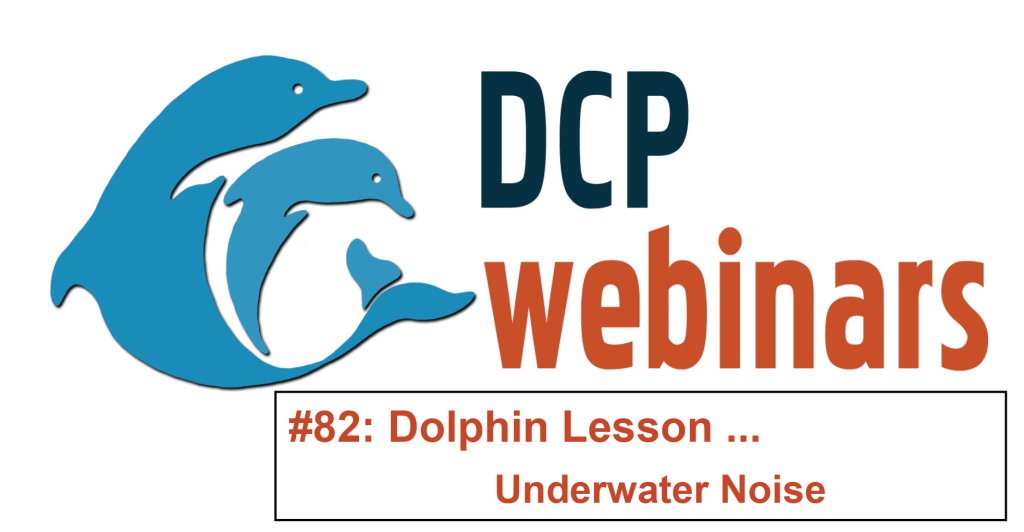 DCP Dolphin Lesson: Shhhh! Keeping the Ocean Quiet for Whales – Dolphin ...