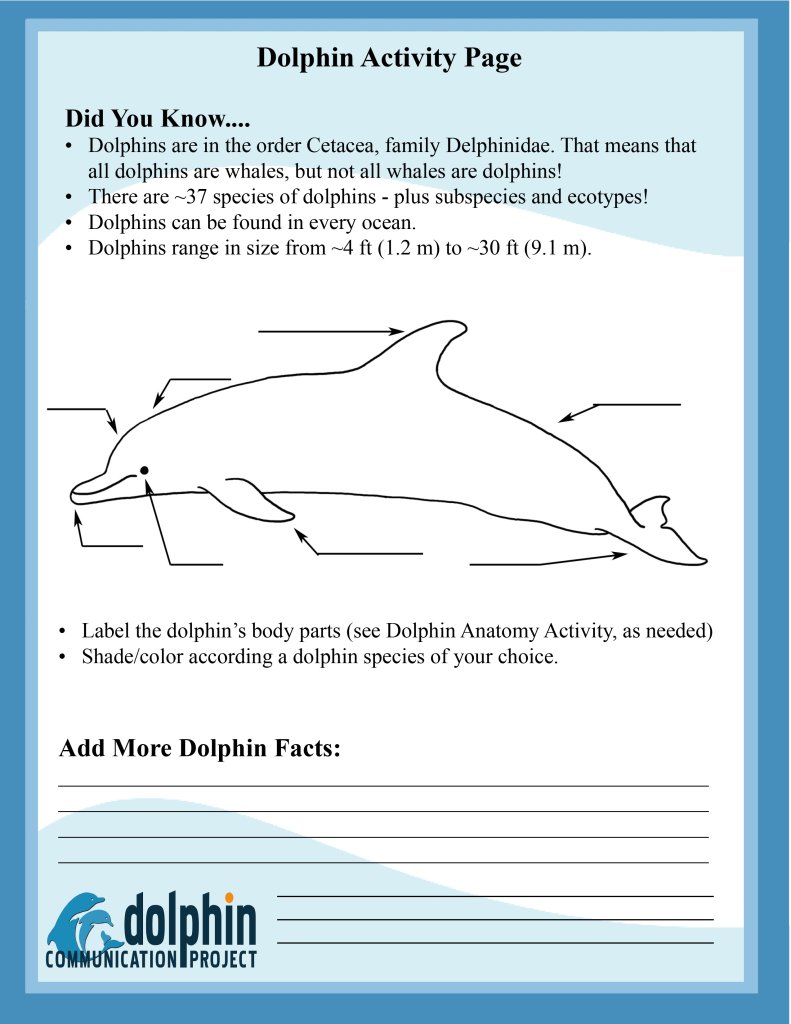 New Dolphin Activity Page – Dolphin Communication Project