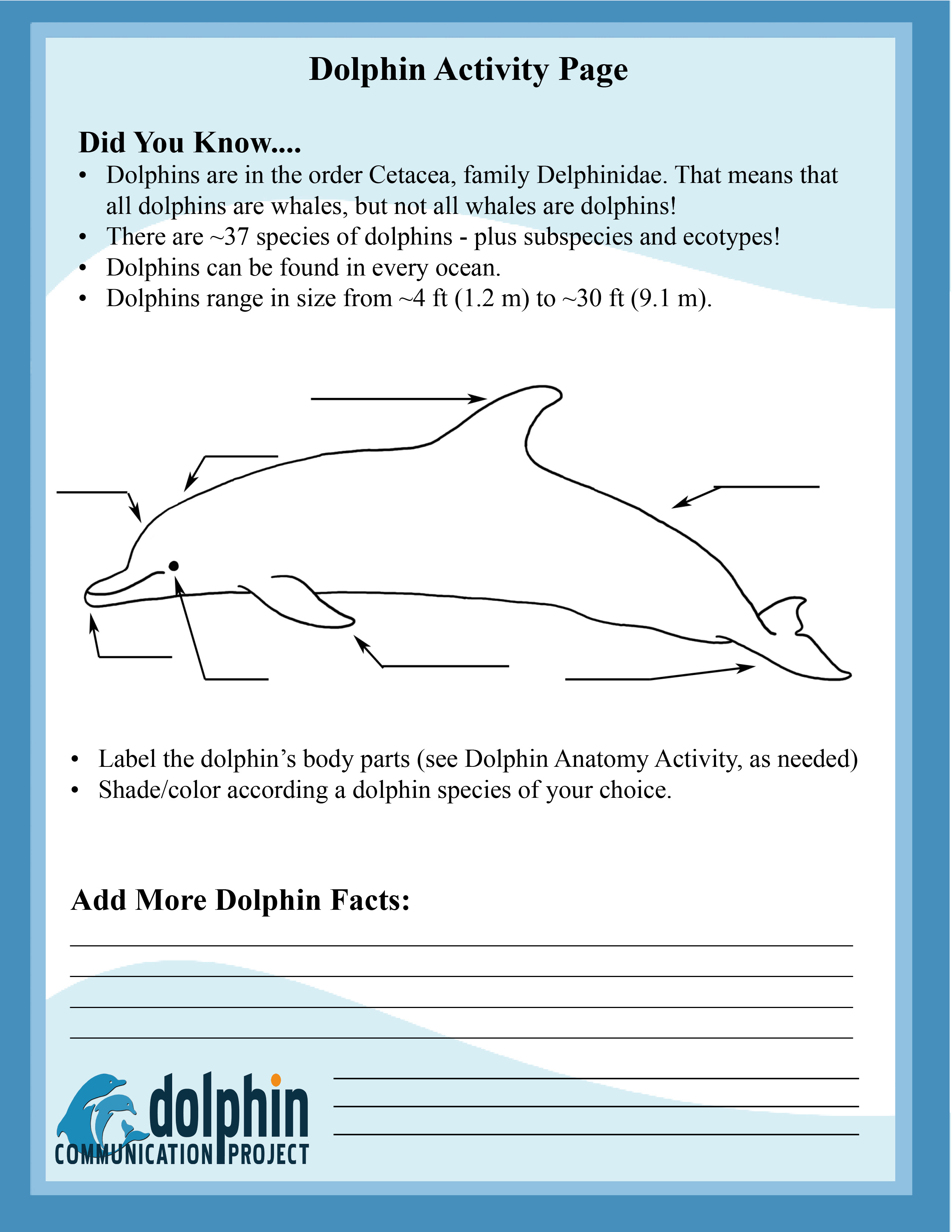 New Dolphin Activity Page – Dolphin Communication Project New Dolphin Activity Page – Dolphin Communication Project