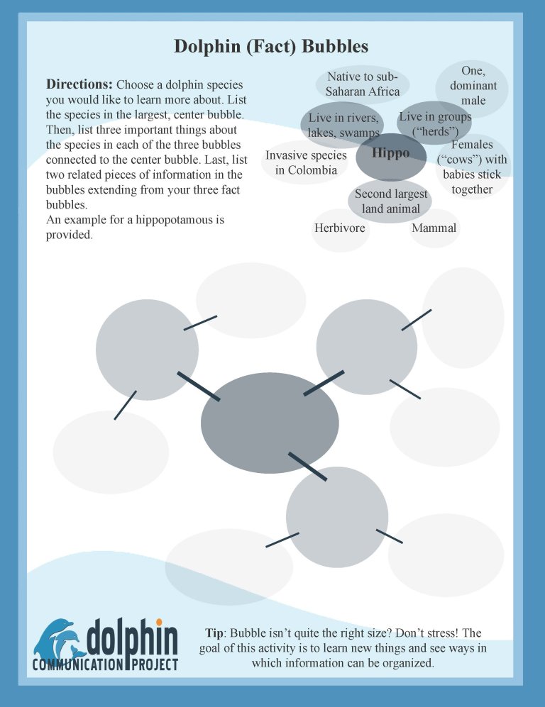 Dolphin (Fact) Bubbles – Dolphin Communication Project