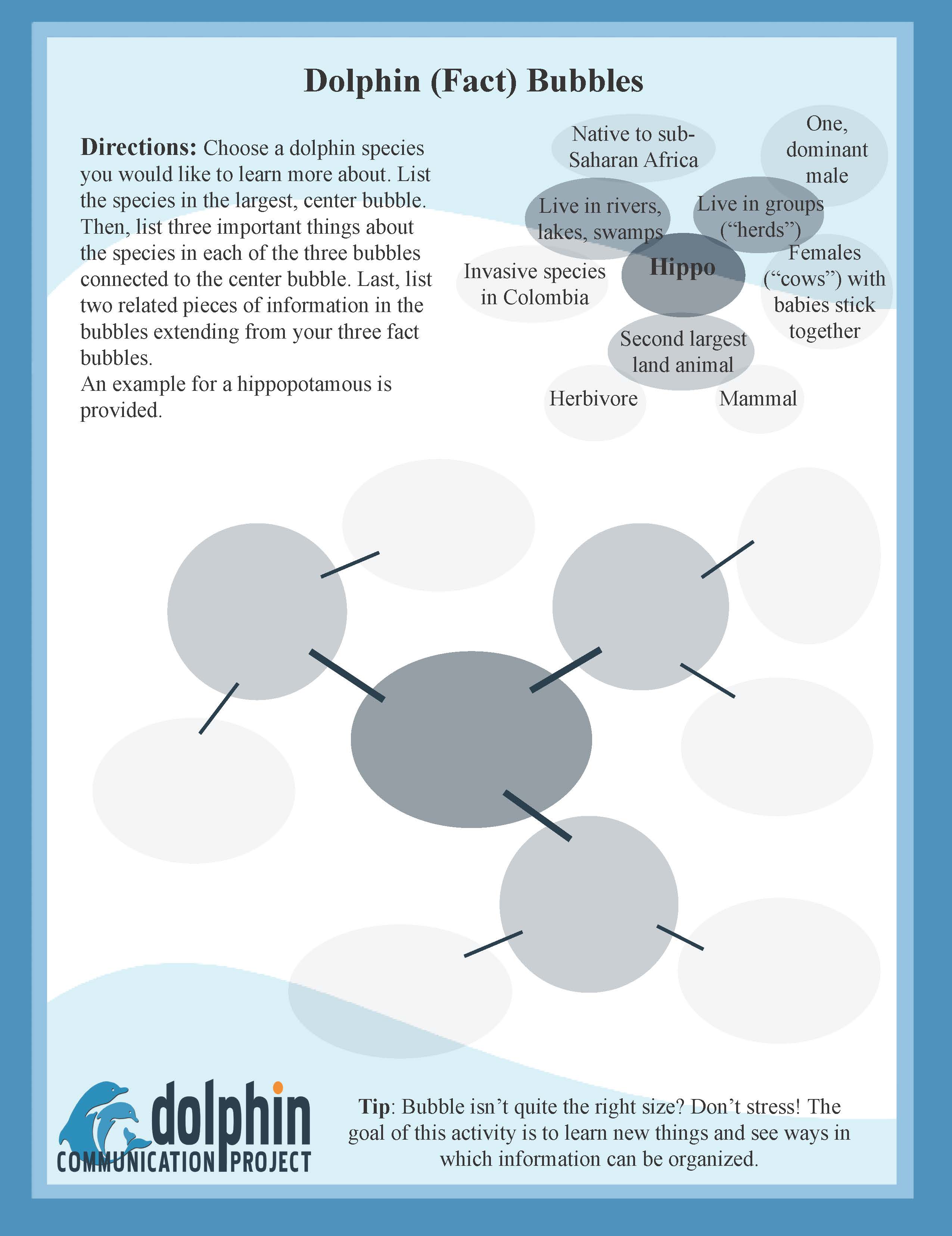 Dolphin (Fact) Bubbles – Dolphin Communication Project