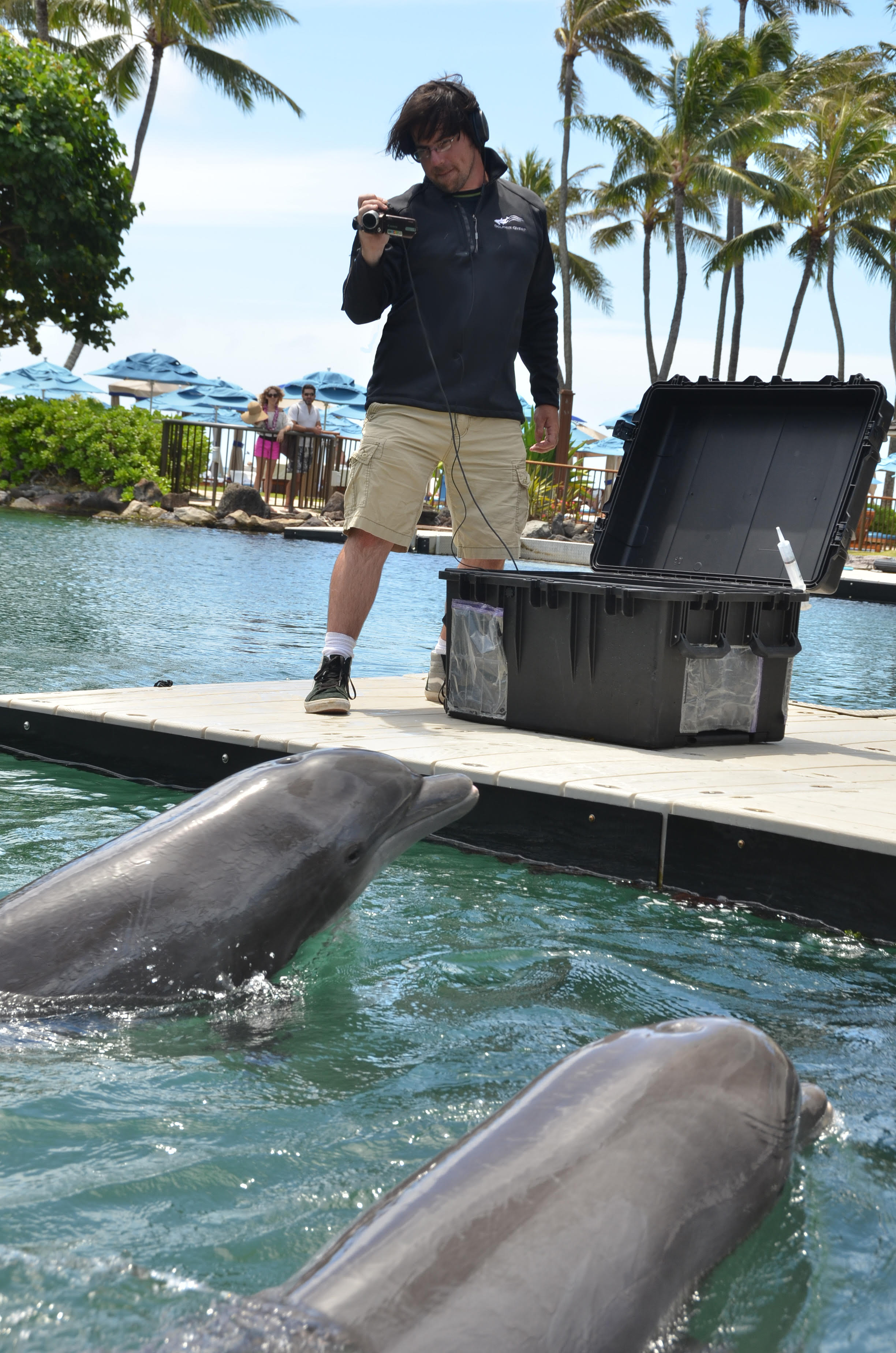 Deep Dive: Dolphins, Drones and Urine – Dolphin Communication Project Deep Dive: Dolphins, Drones and Urine – Dolphin Communication Project