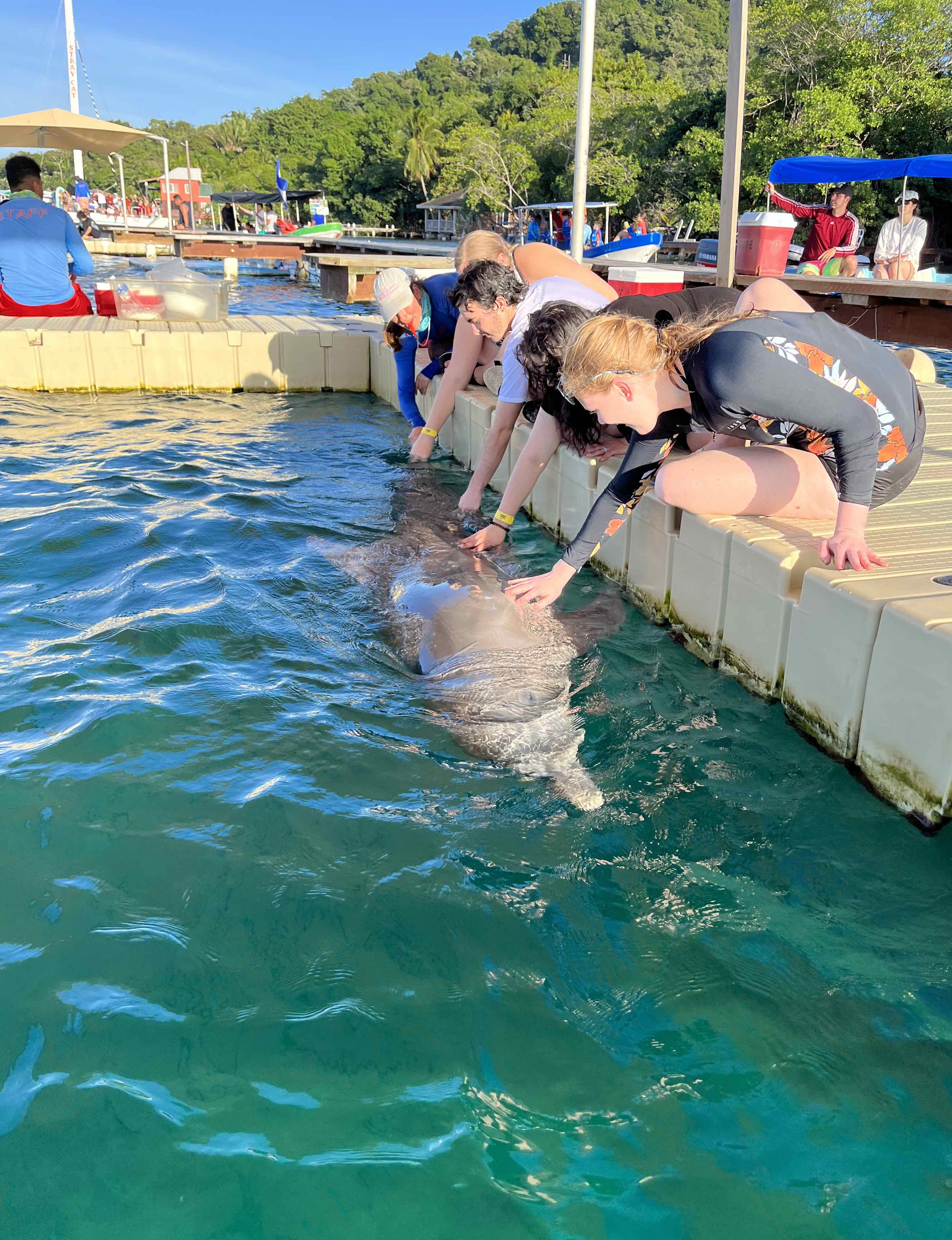 First Day of Data Collection – Dolphin Communication Project