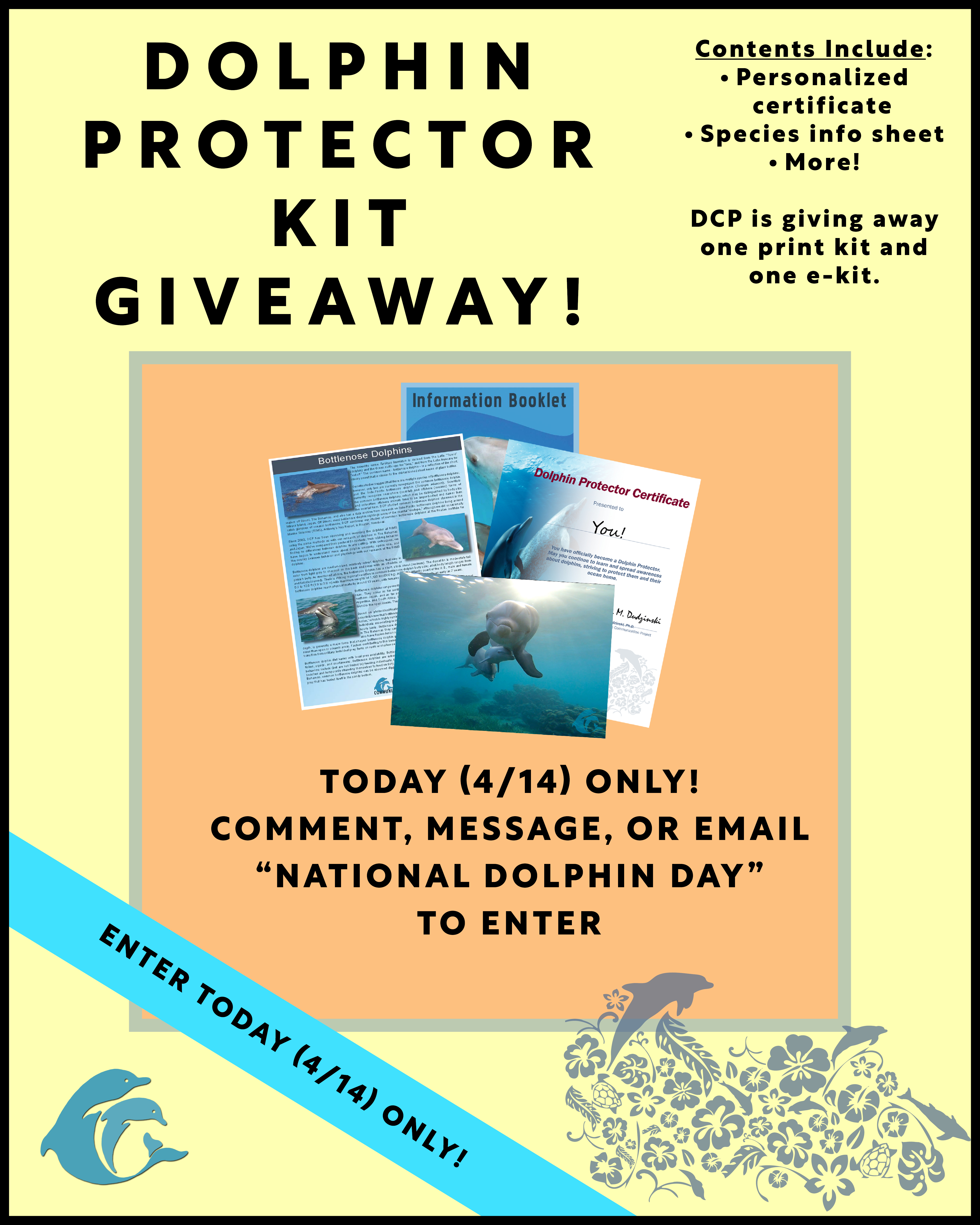 National Dolphin Day Giveaway! – Dolphin Communication Project