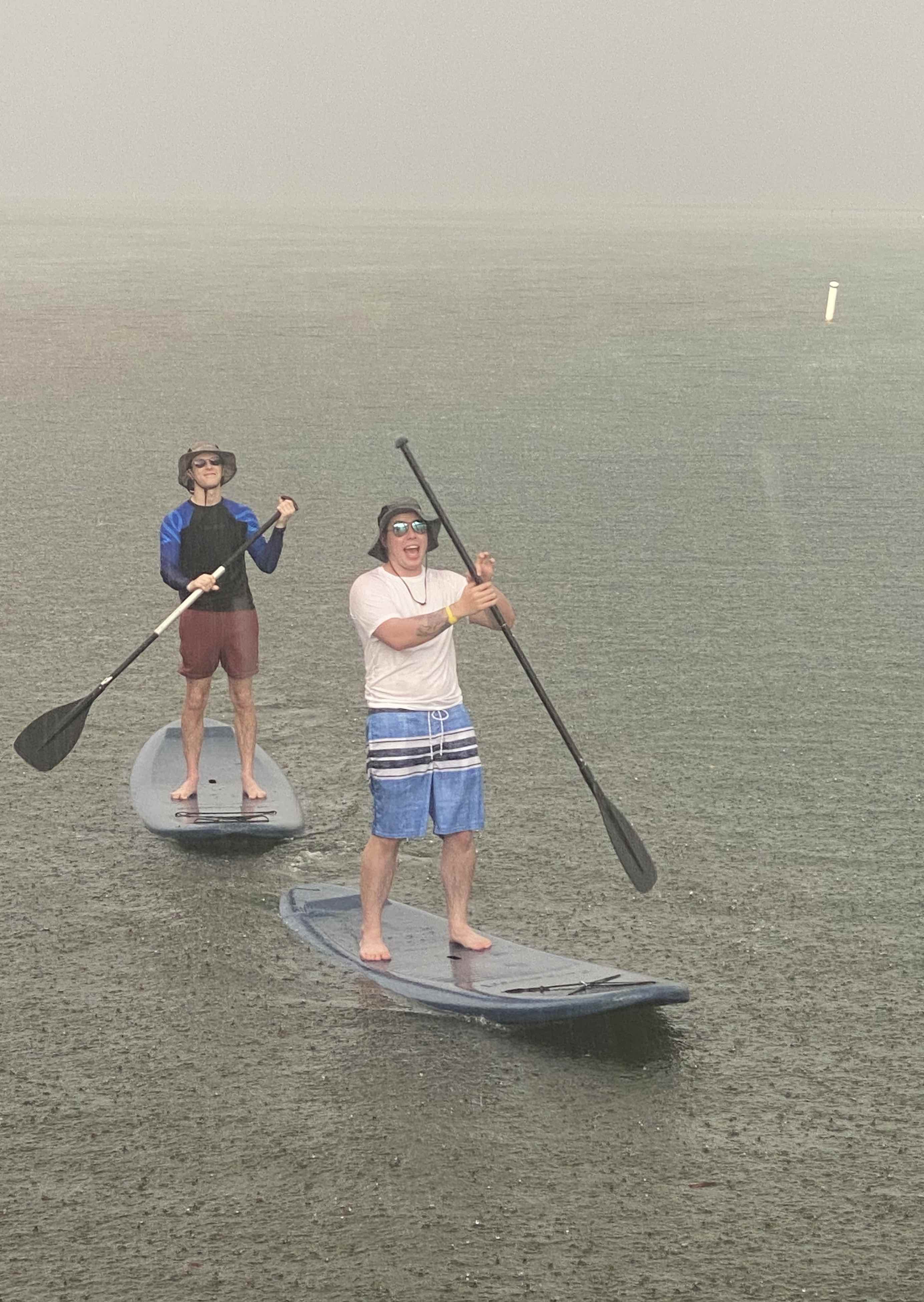 New Beginnings – Dolphin Communication Project