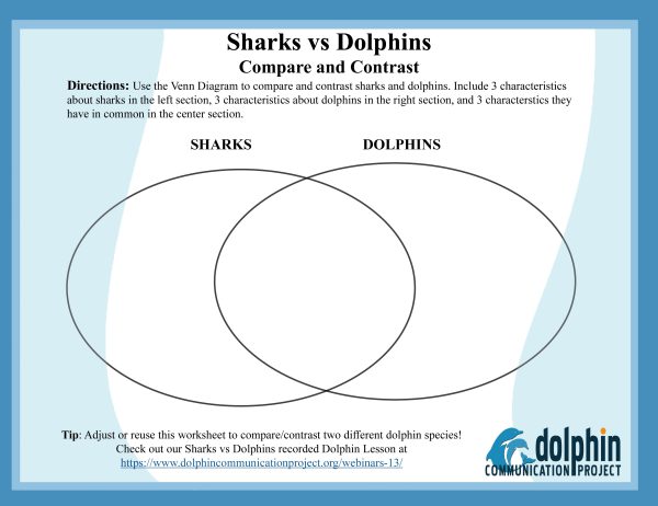 Sharks vs Dolphins (KSA) – Dolphin Communication Project