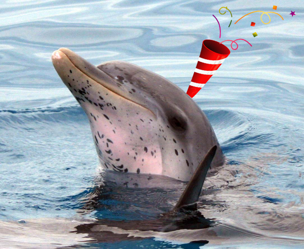 50% Off Dolphin Protector E-Kits! – Dolphin Communication Project