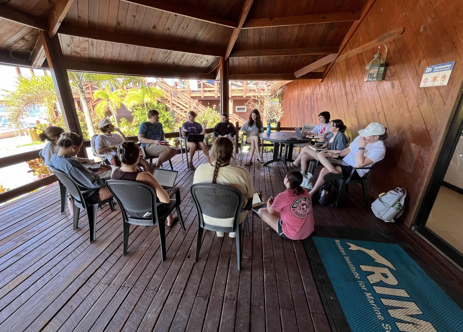 Wahoo! Yippee! – Dolphin Communication Project