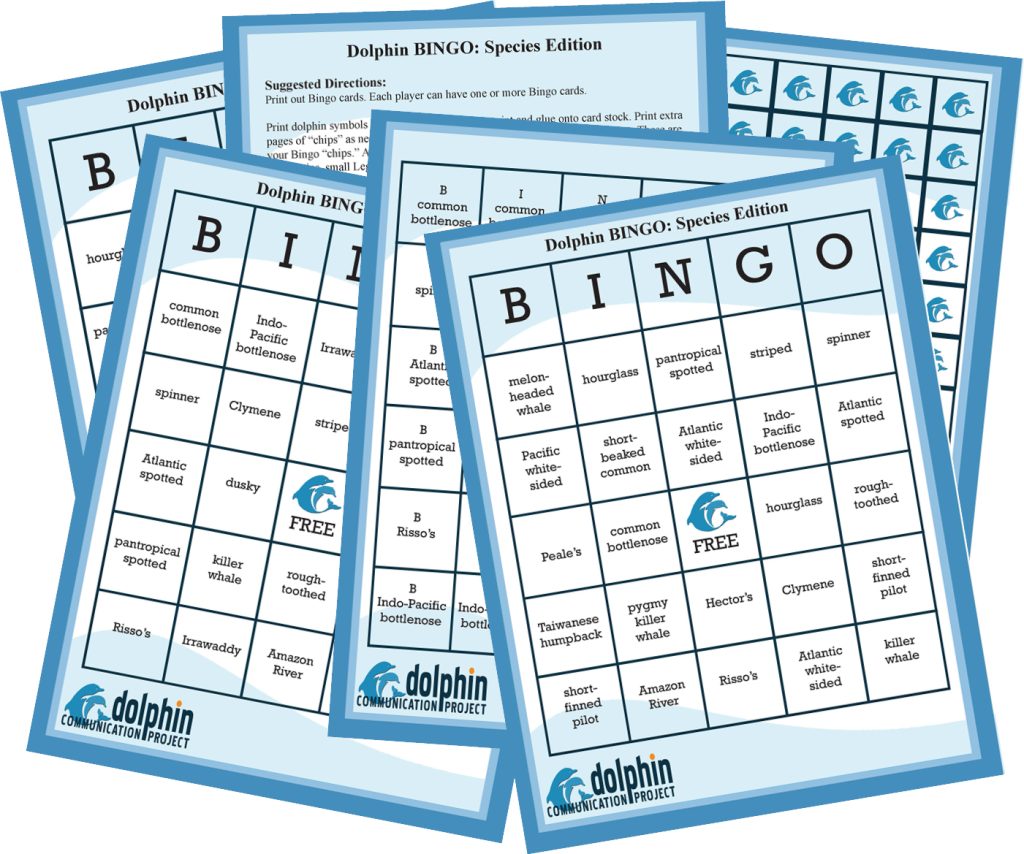 Bingo: Dolphin Species Edition – Dolphin Communication Project