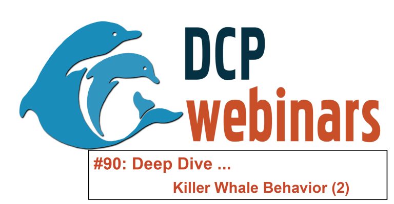 DCP Deep Dive: Socializing Killer Whales, How and with whom they share ...